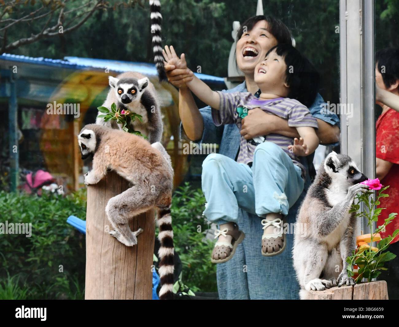 **CHINESE MAINLAND, HONG KONG, MACAU AND TAIWAN OUT** Animals at ...