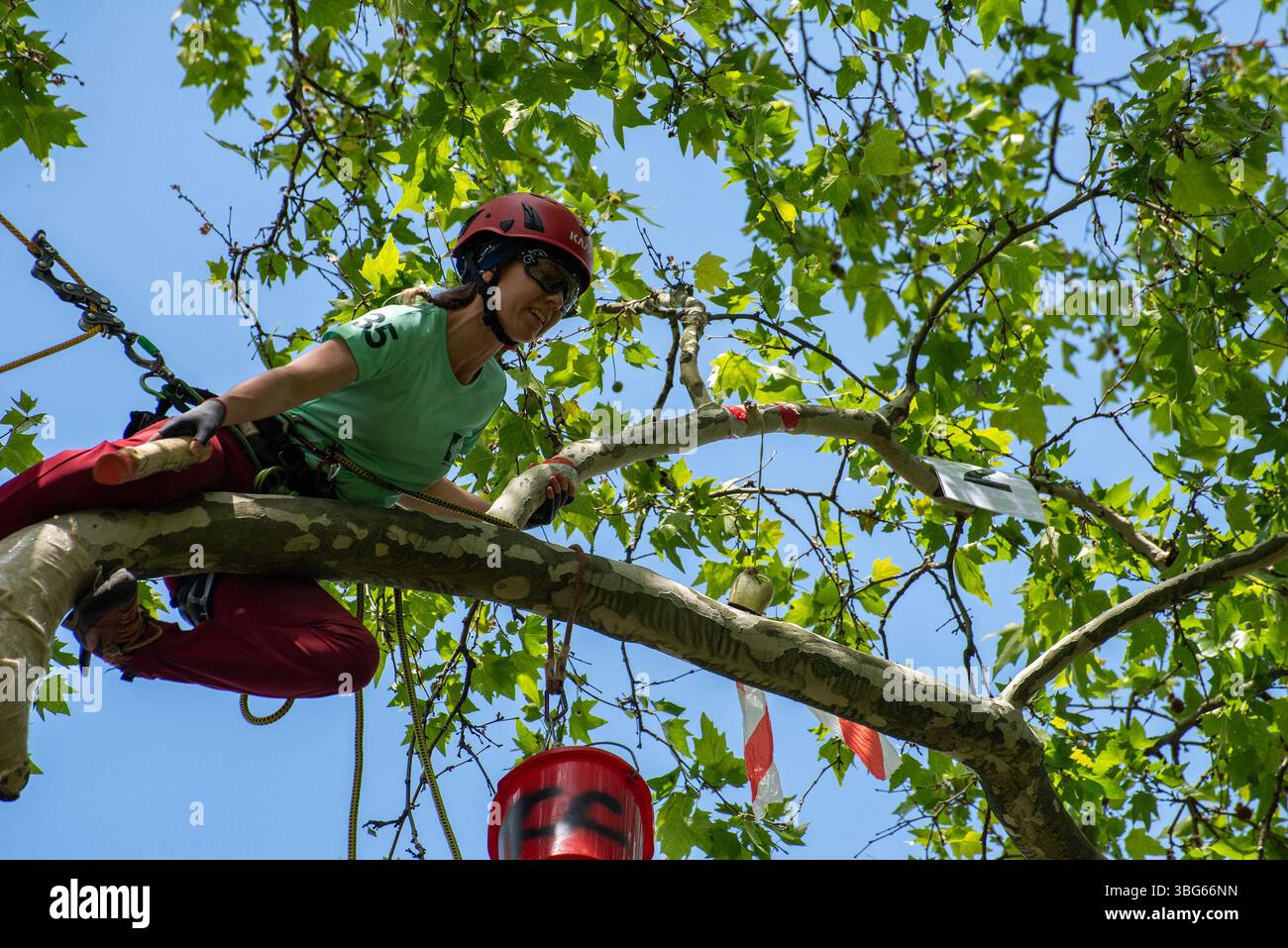 Tata, Hungary. 31st May, 2025. A female athlete throws a piece of wood ...