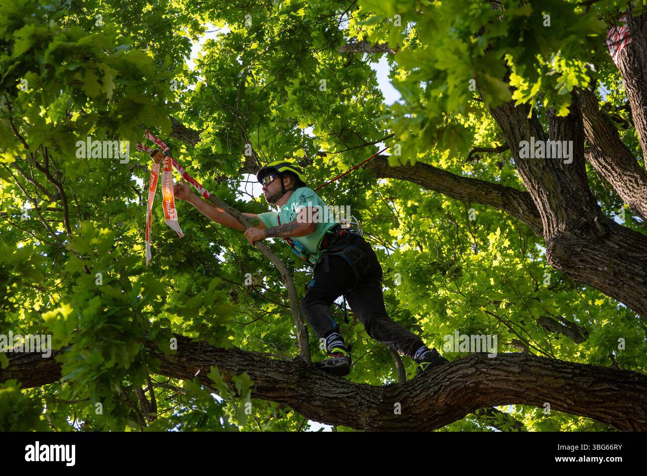 Tata, Hungary. 31st May, 2025. A competitor touches the bell to show he ...