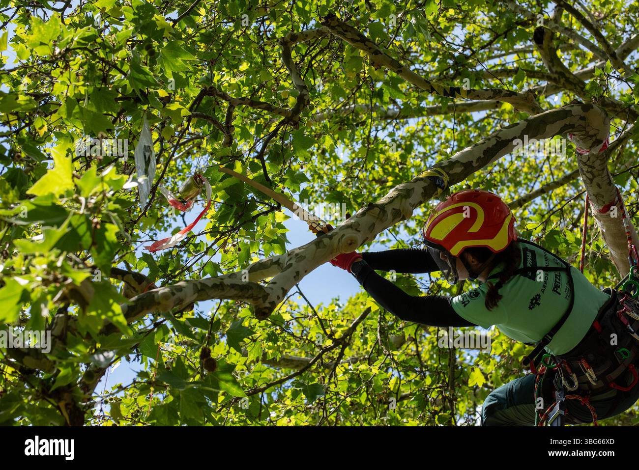 Tata, Hungary. 31st May, 2025. An athlete touches the bell with her ...