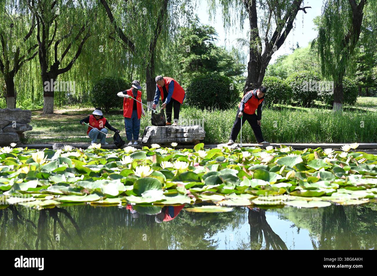HANDAN, CHINA - JUNE 4, 2025 - Volunteers are cleaning up garbage and ...
