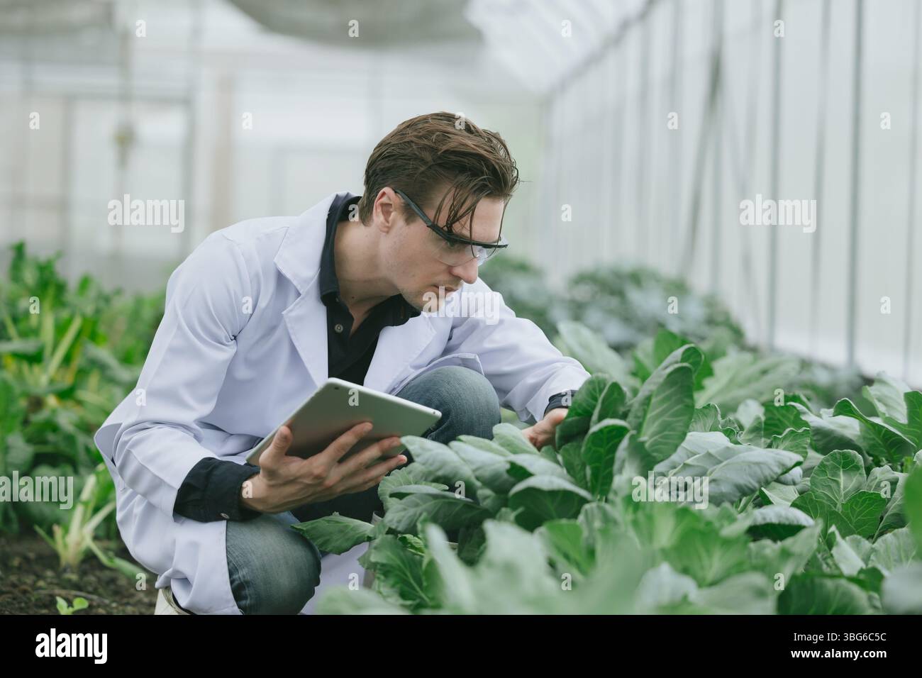 Modern farmer people working plant research in organic farm. Biologist ...