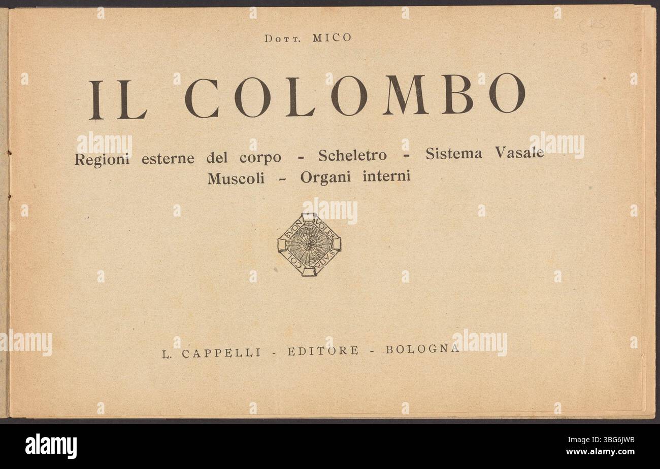 The 1924 book 'Il Colombo' includes a color illustration of the pigeon’s anatomical layers ...