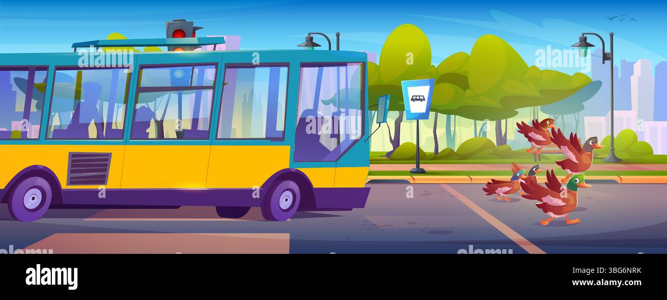 Ducks take flight from city road near yellow bus. Brown birds spread ...