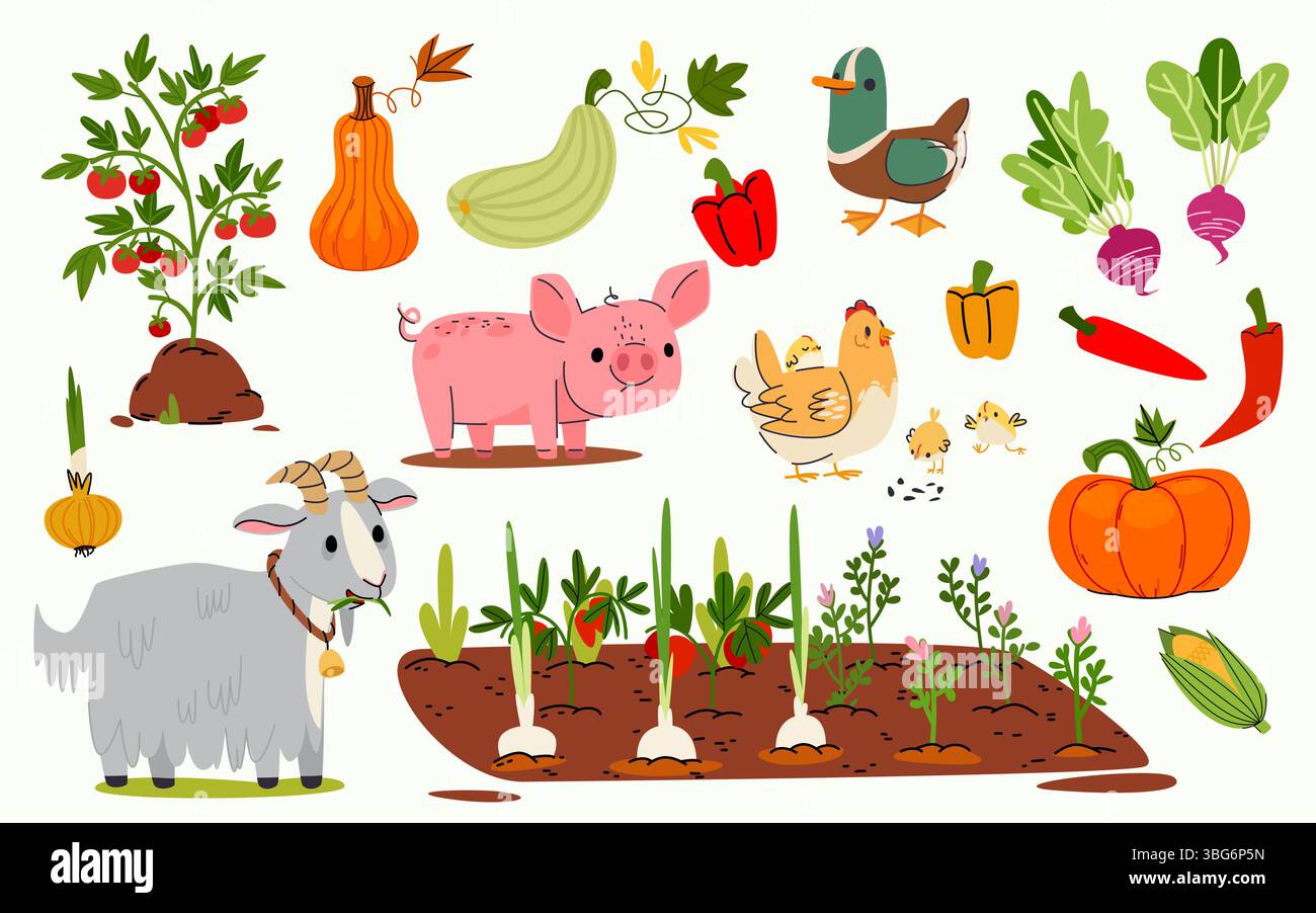 Garden farm set of animals and vegetables - pig and goat, hen with ...