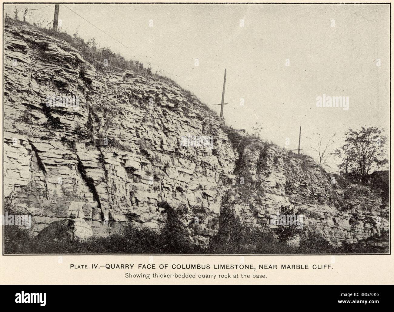 The quarry face of Columbus limestone near Marble Cliff shows thicker ...