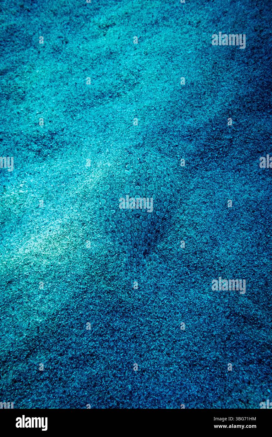 Rombou hi-res stock photography and images - Alamy