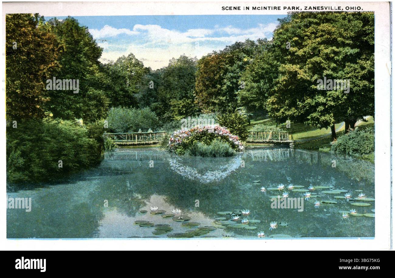 Wooden footbridge over pond Cut Out Stock Images & Pictures - Alamy