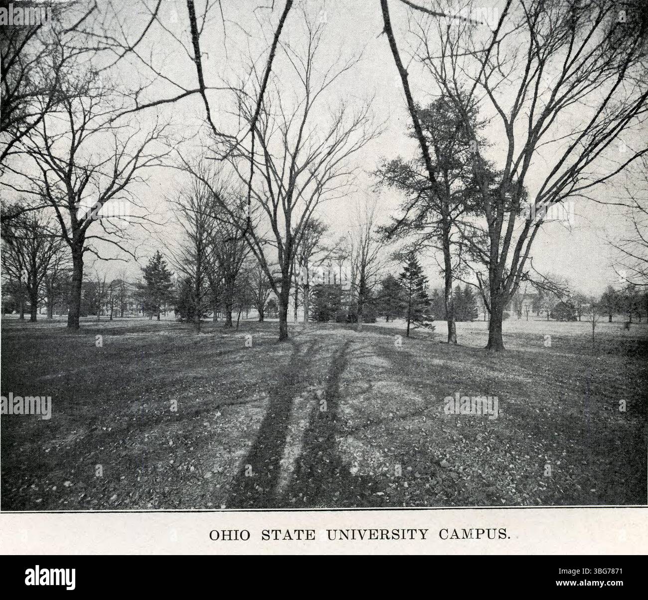 Photograph of the Ohio State University campus grounds in 1909, showing ...
