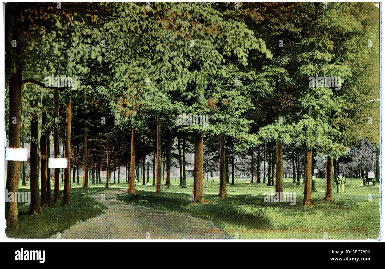 This 1910 photograph shows a wooded driveway in Riverside Park, Findlay ...