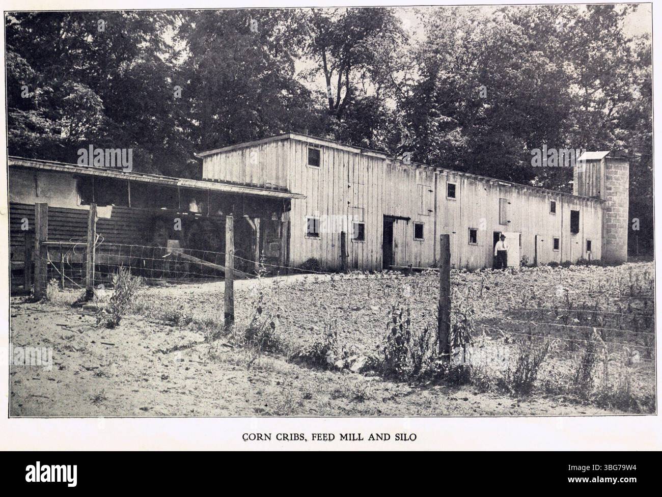 Maple Villa Stock Farm, established by Alfred Griffin Hatfield, was a ...