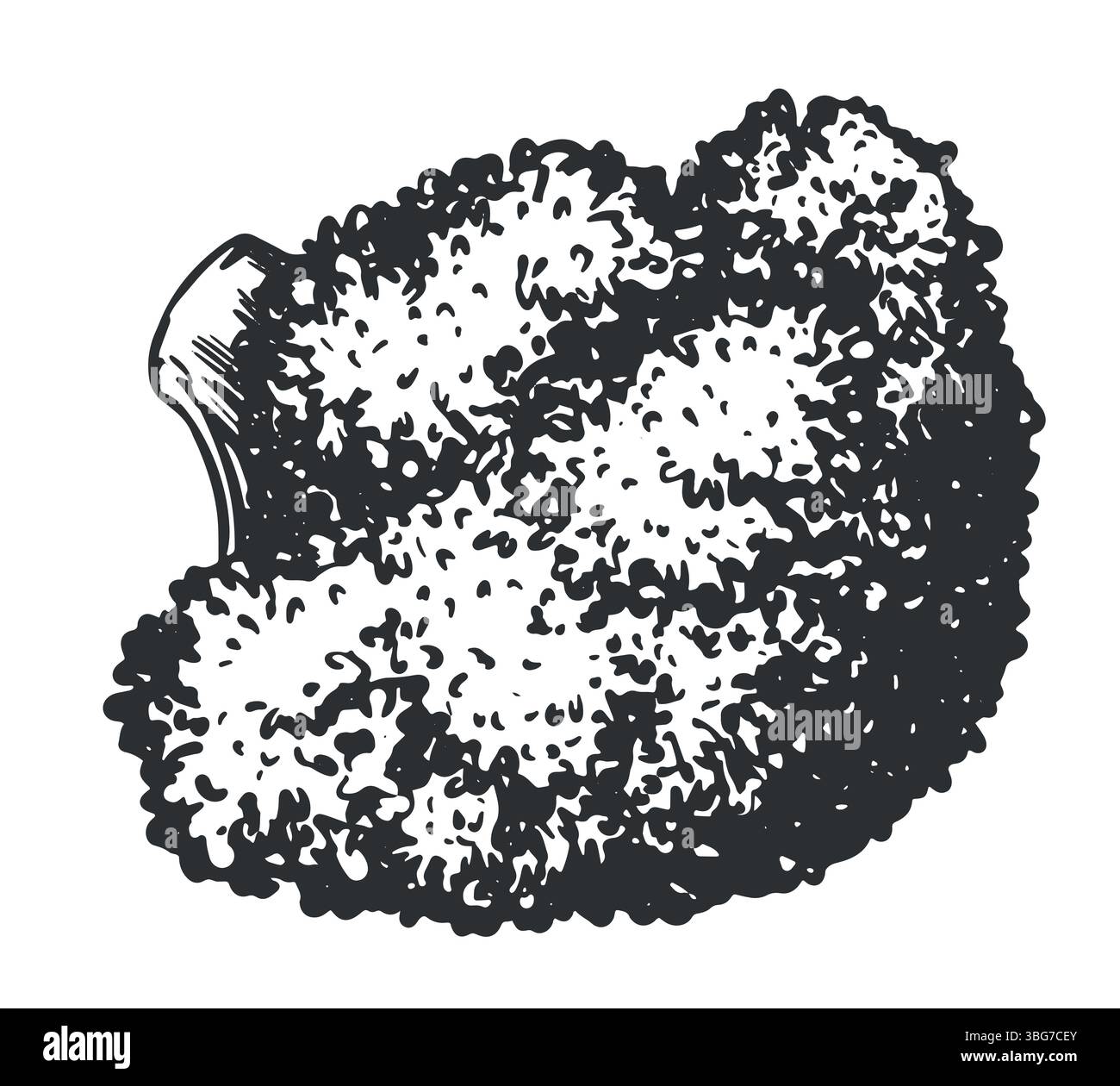 Vector sketch of broccoli lying on a table. Hand-drawn ink drawing of ...
