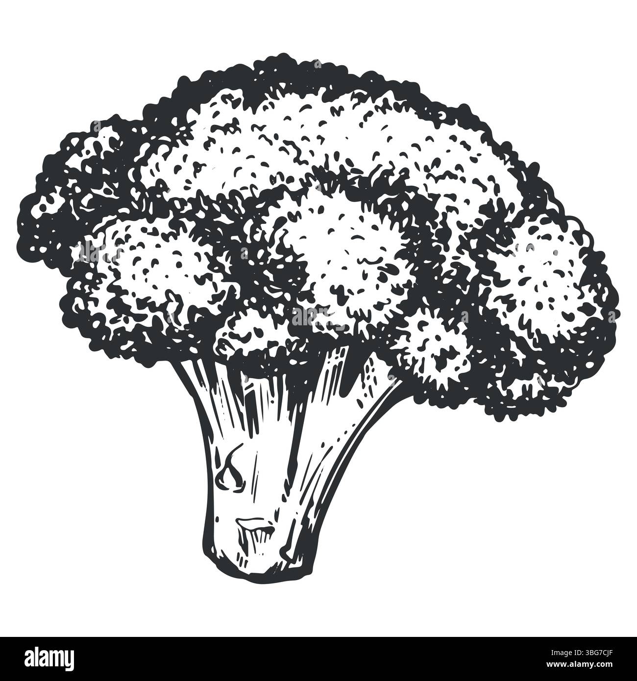 Hand with broccoli Black and White Stock Photos & Images - Alamy