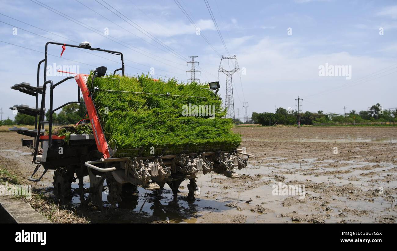 (250604) -- CHONGZHOU, June 4, 2025 (Xinhua) -- This photo taken on May ...