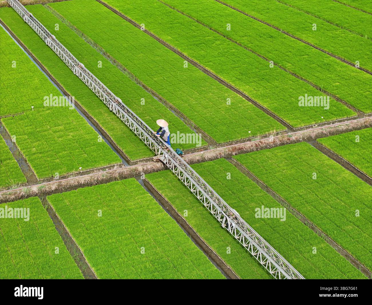 (250604) -- CHONGZHOU, June 4, 2025 (Xinhua) -- An aerial drone photo ...