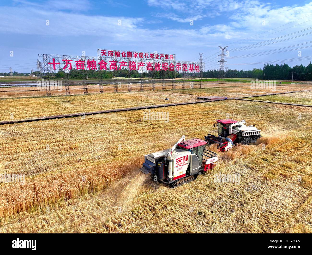 Ai vs hi-res stock photography and images - Alamy