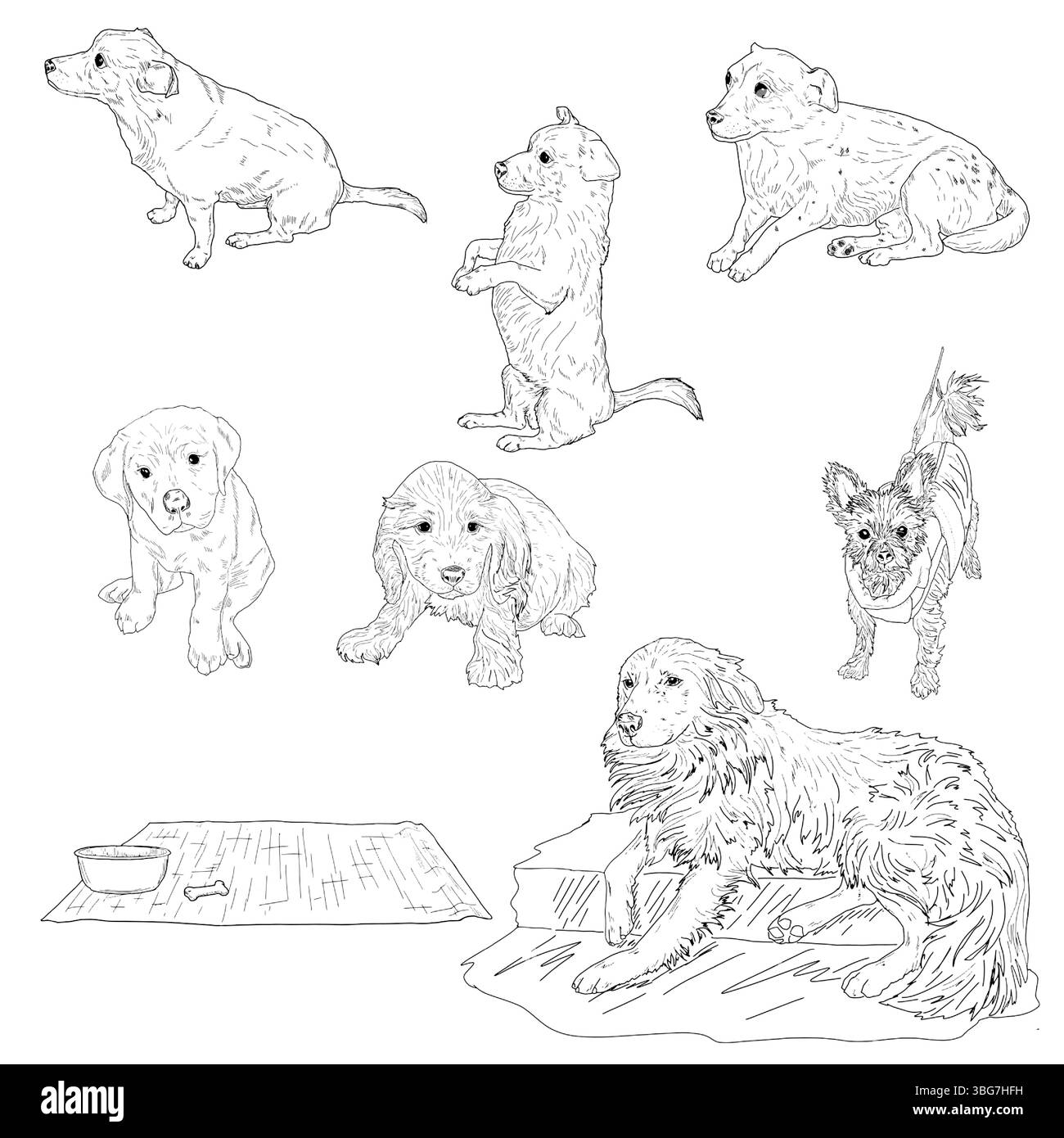 Pets bowl Stock Vector Images - Alamy