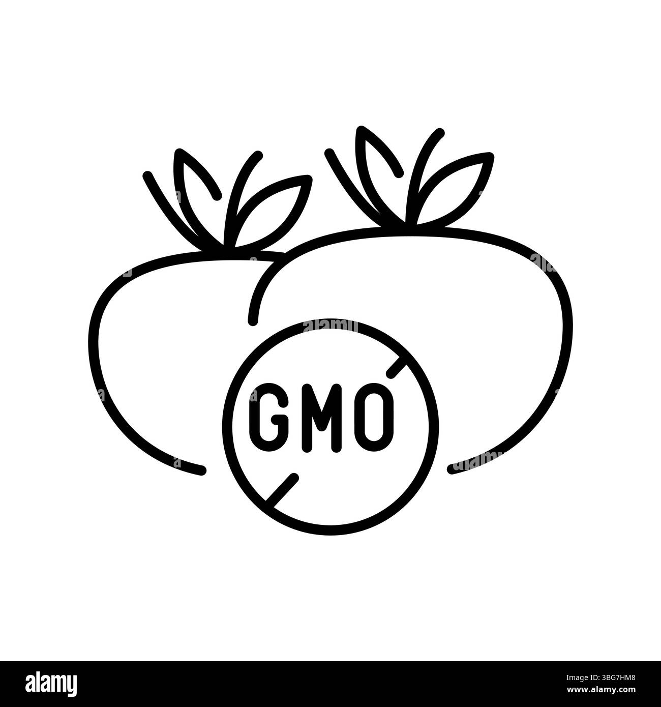 Non gmo corn Black and White Stock Photos & Images - Alamy