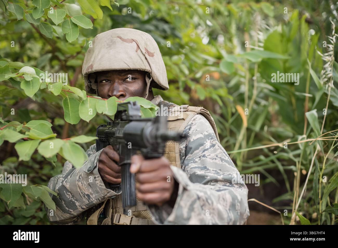 African American male soldier crouching in jungle wearing vest, combat ...