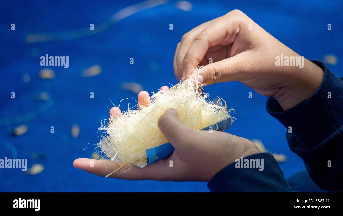 Rambut nenek (arumanis, arbanat). Rambut nenek is a traditional snack ...
