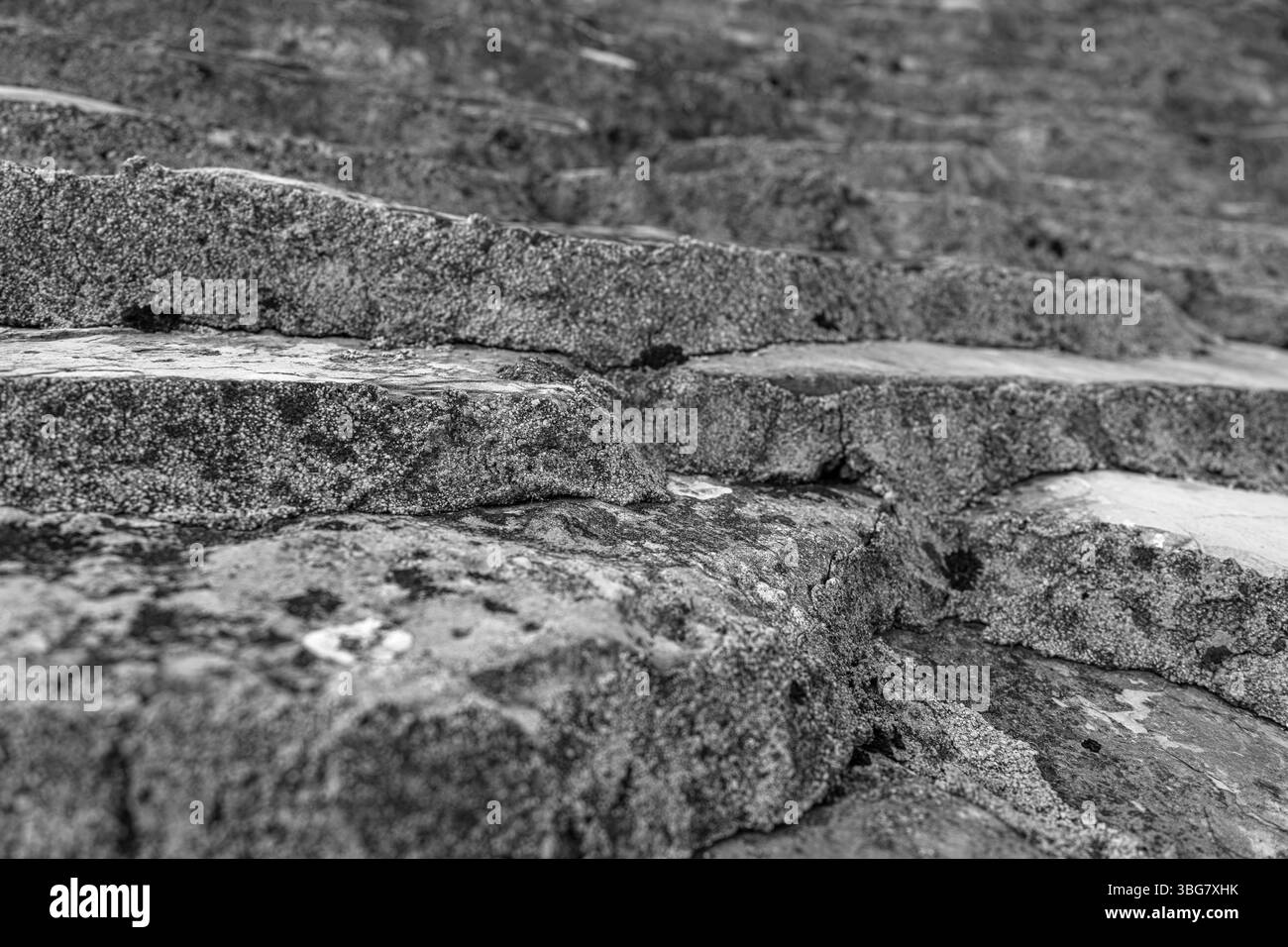 Tactile formation Black and White Stock Photos & Images - Alamy