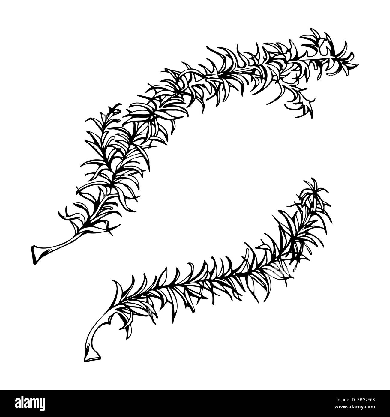 Herbaceous wetland Cut Out Stock Images & Pictures - Alamy