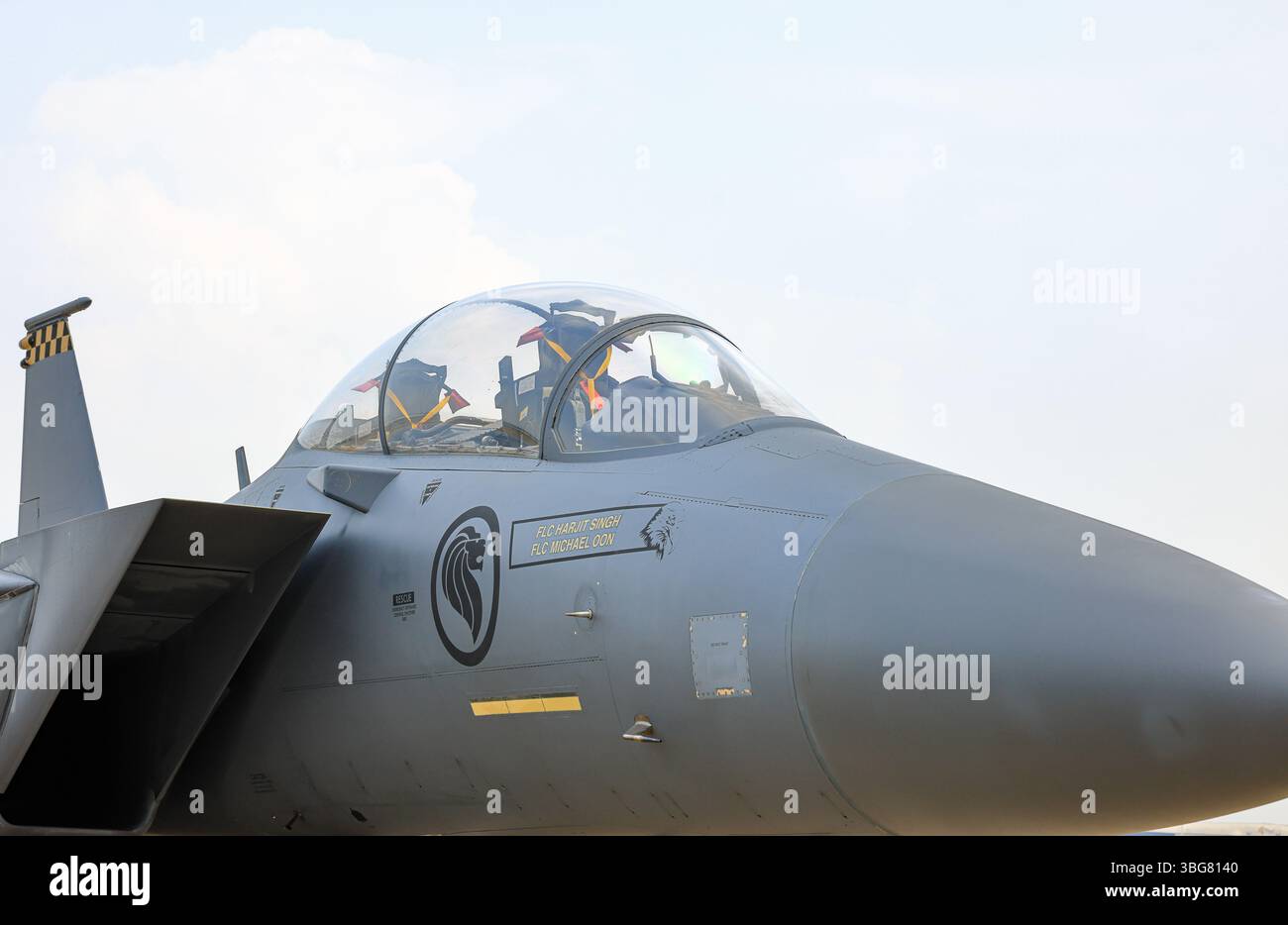 Multirole fighter jet hi-res stock photography and images - Alamy