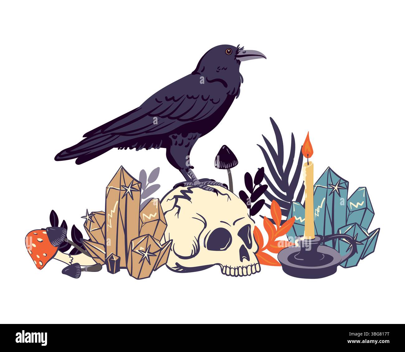 Black raven standing on a human skull. Vector illustration for ...