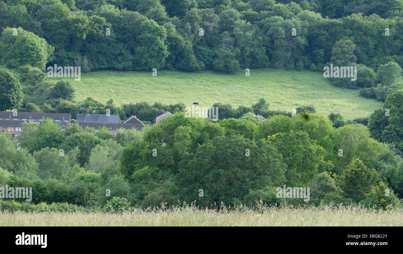 Lush green english countryside with hidden village hi-res stock ...