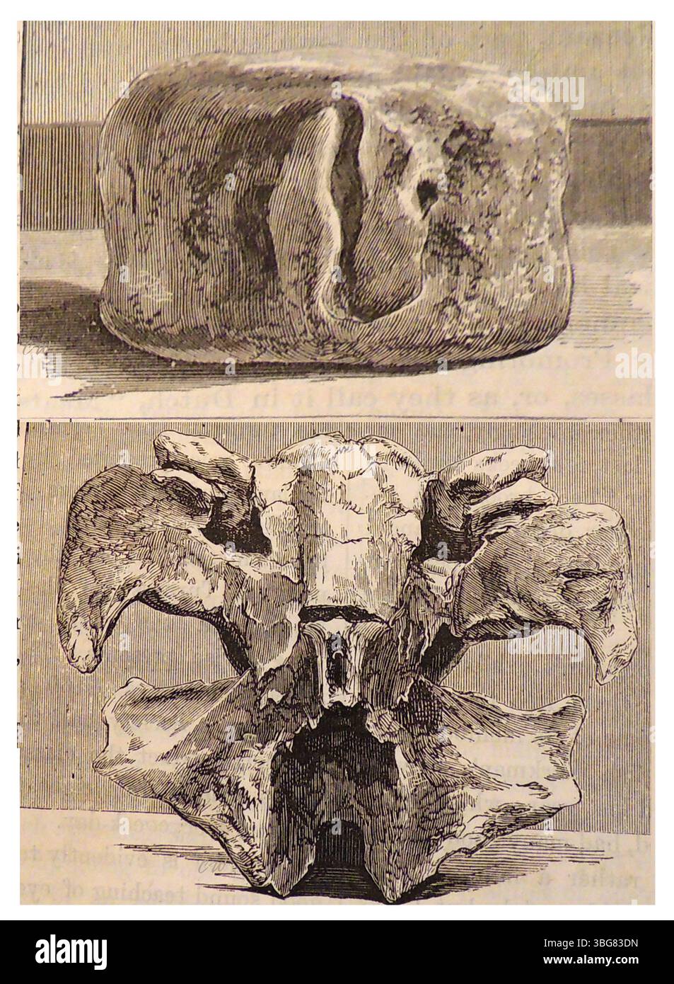 Land for reclamation Cut Out Stock Images & Pictures - Alamy