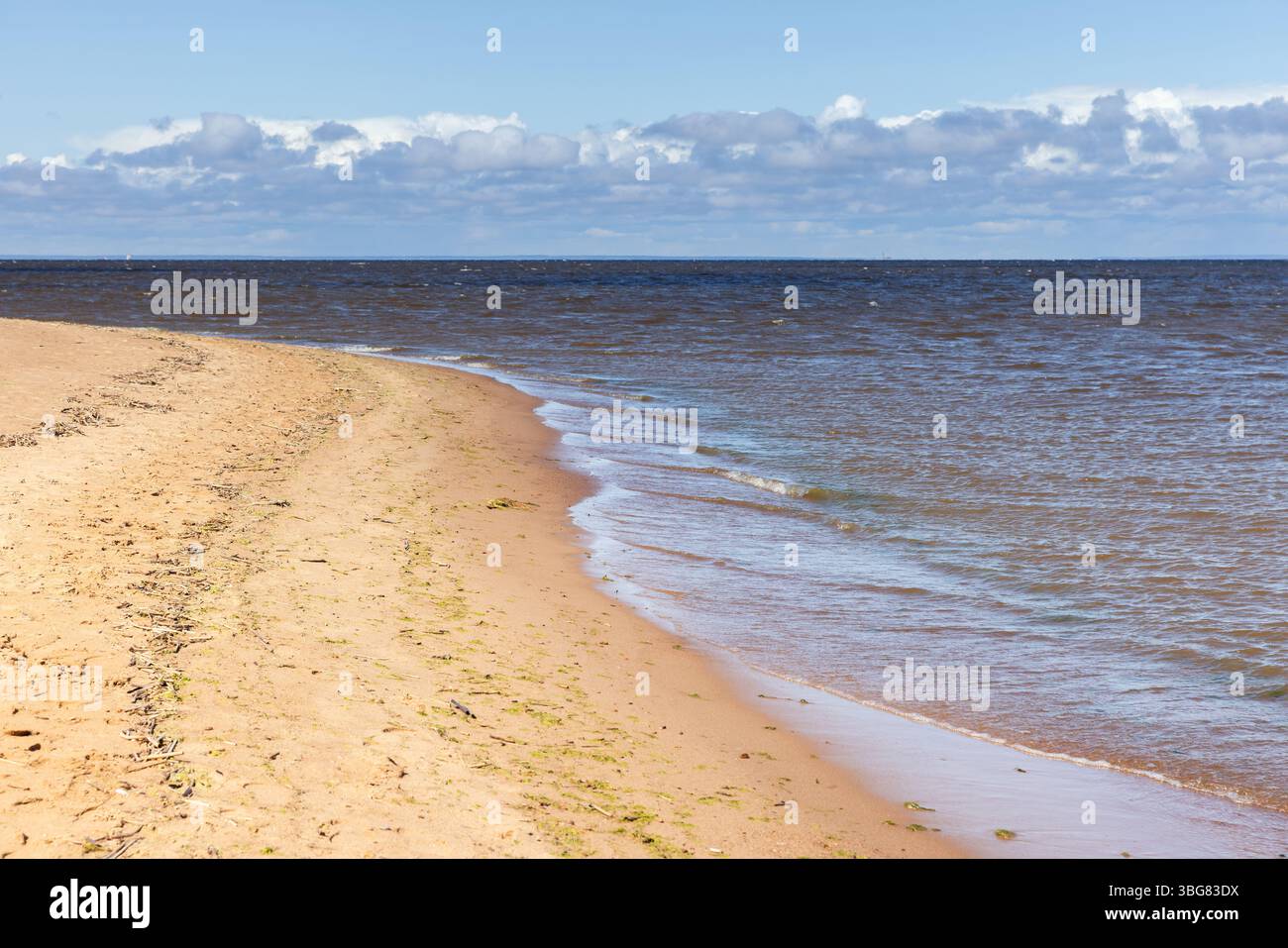 Calm sandy shoreline with soft waves lapping onto the coast under a ...