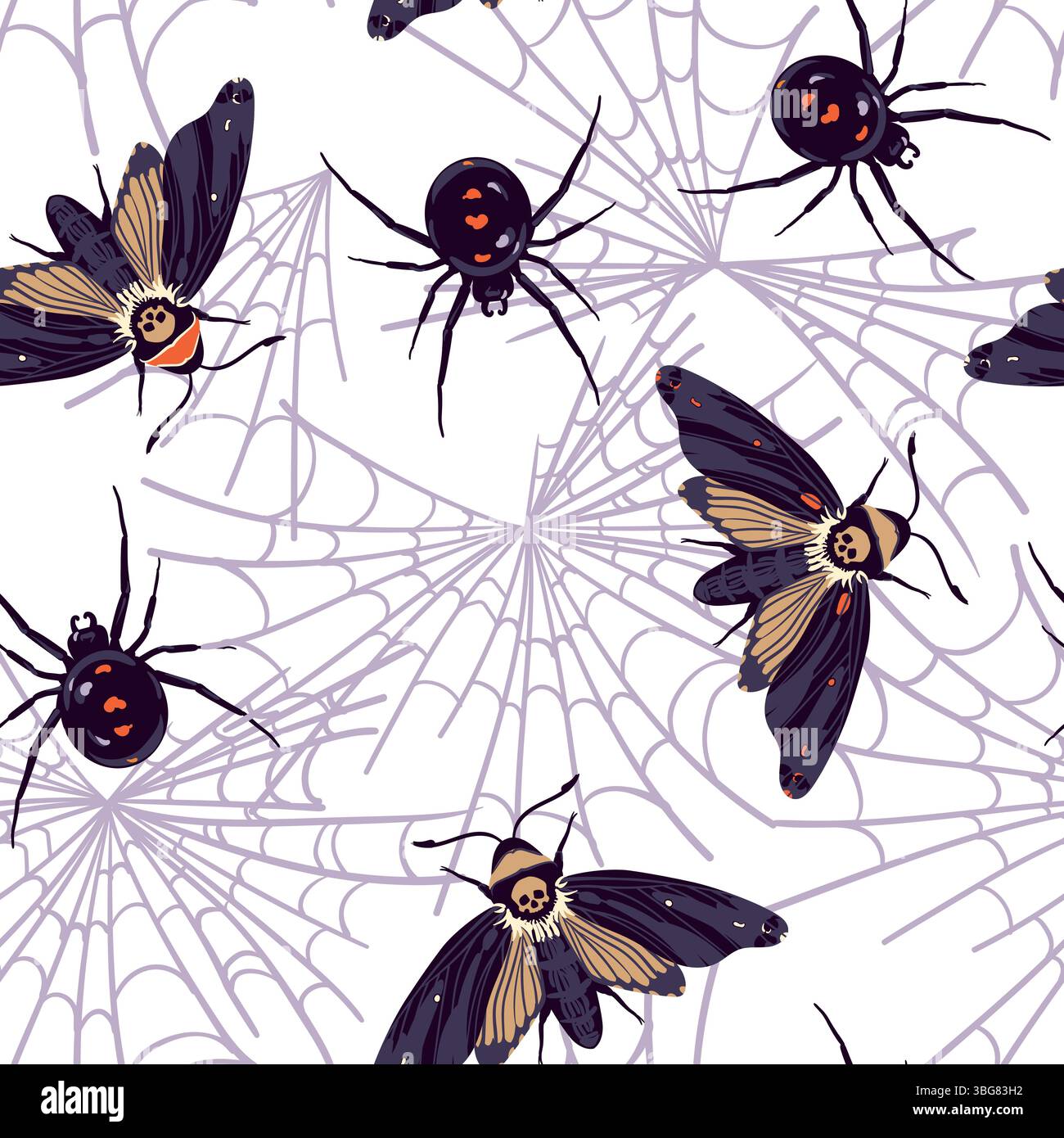 Black widow spider Latrodectus occidentalis and Death's head moth ...