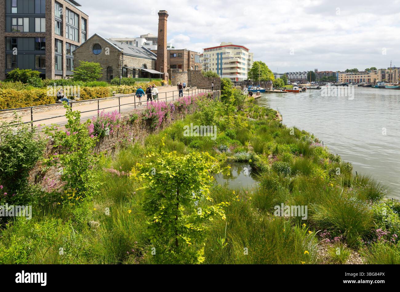 Artificial wetland plants growing on Biomatrix raft on water, Floating ...
