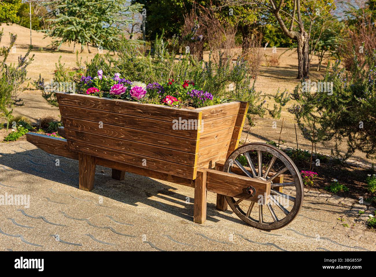 Wooden wheelbarrow plants display at Akashi Kaikyo National Government ...