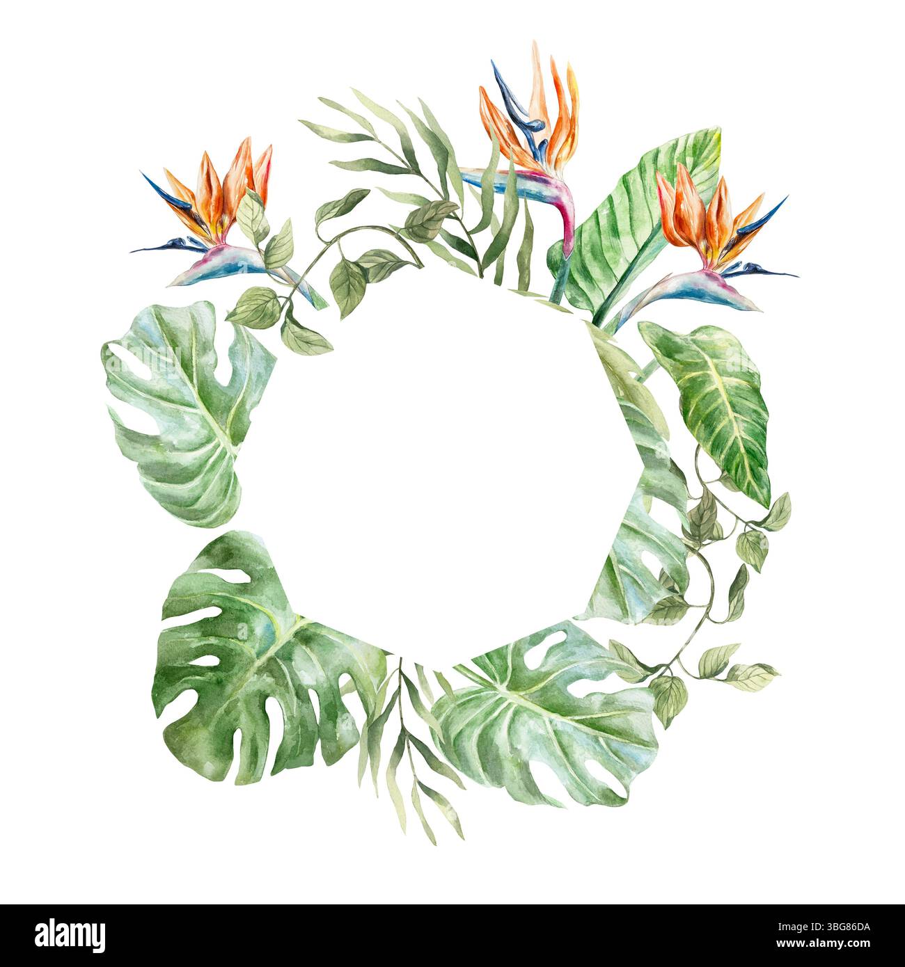 Tropical round frame with monstera, palm, banana leaves, strelitzia ...