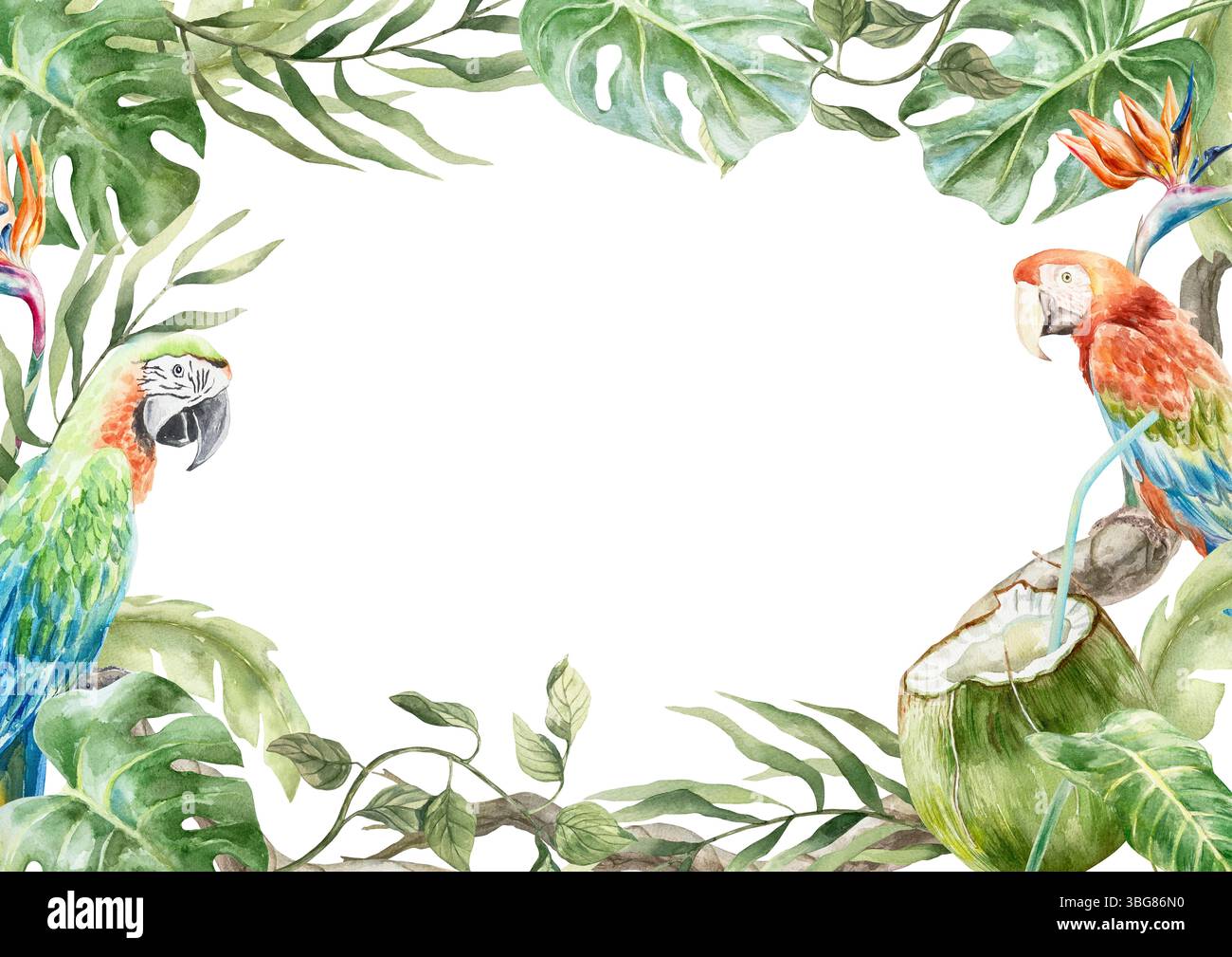 Tropical frame with monstera, palm, banana leaves, strelitzia flowers ...