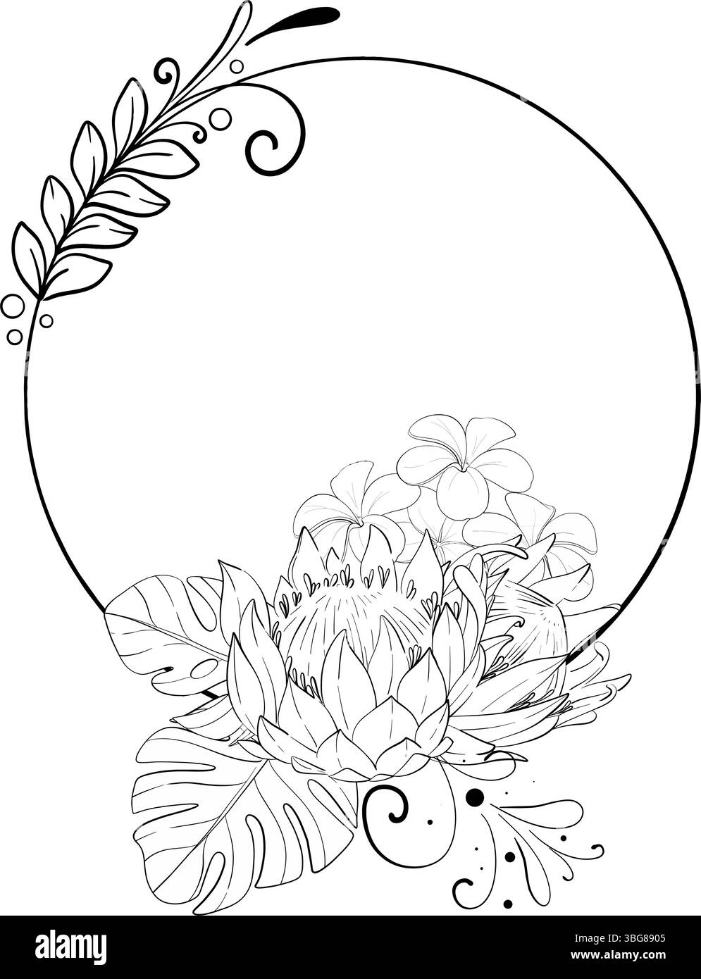 Vector tropical circle frame - bouquet with proteas, monstera leaves ...