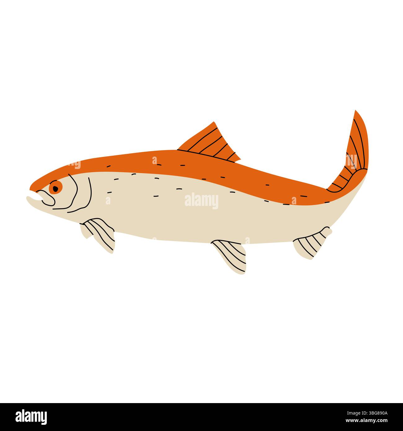 Illustration of a salmonid fish Stock Vector Image & Art - Alamy