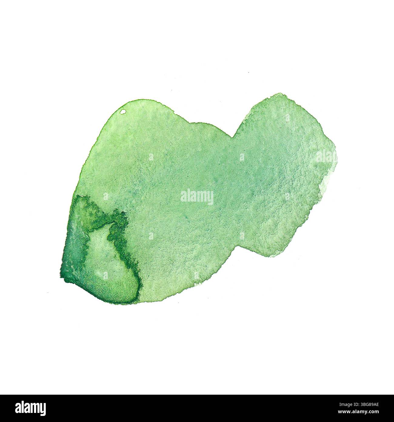 Delicate mint green watercolor splash with pastel tint and organic ...