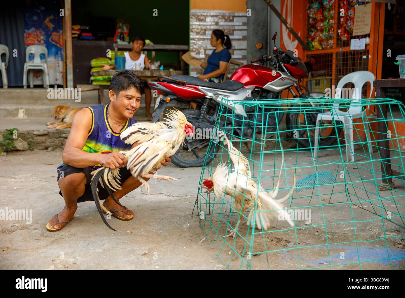 June 2, 2025: Talipanan Oriental Mindoro Philippines, Man Handling ...
