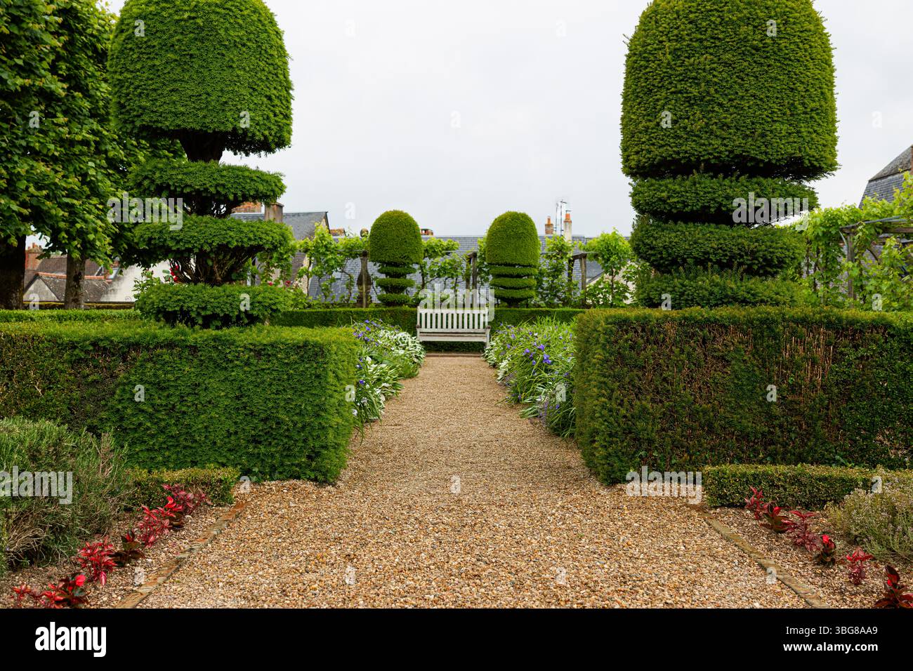 A formal garden with neatly trimmed hedges and topiary trees lining a ...