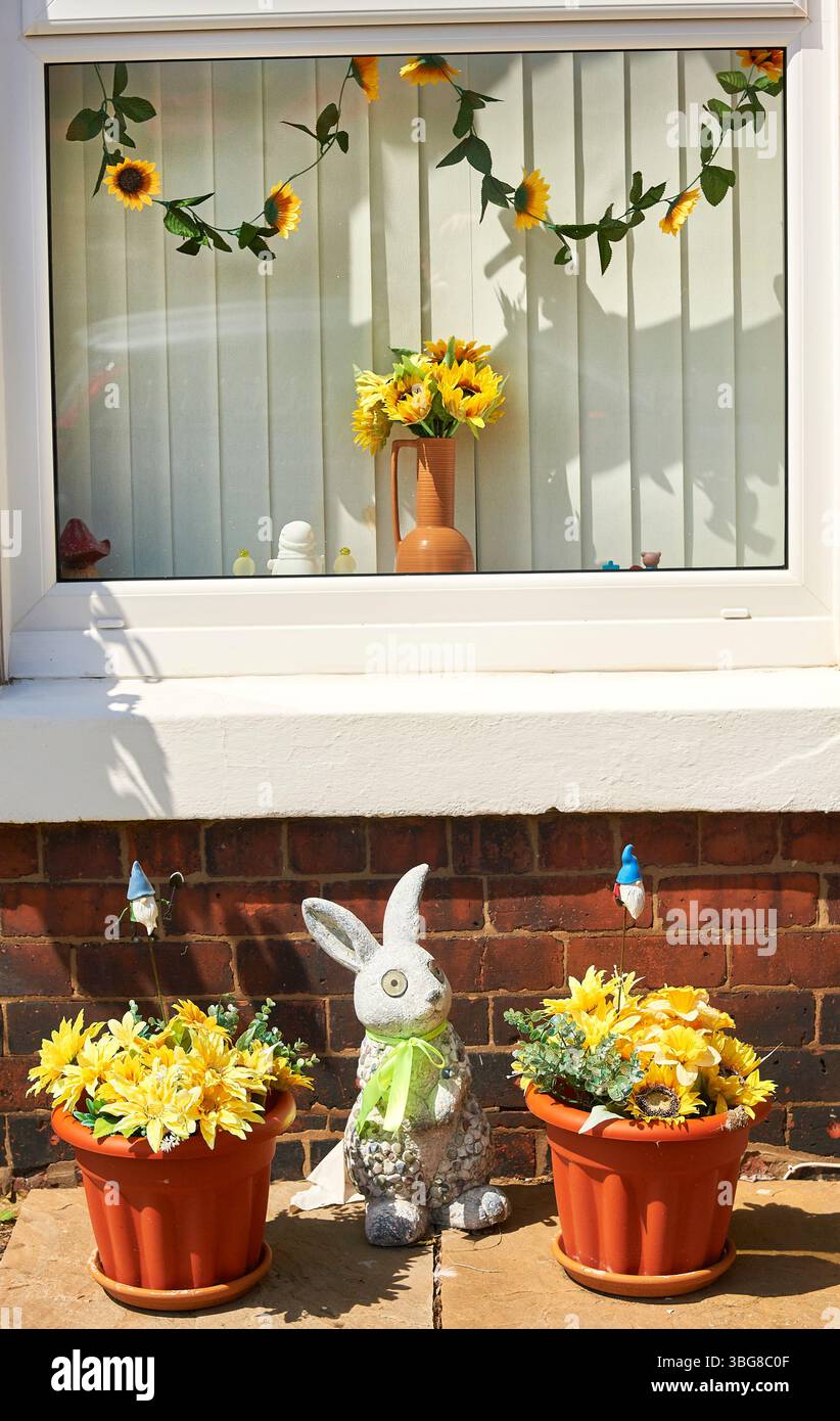 Garden and front window display in minimalist style Stock Photo - Alamy