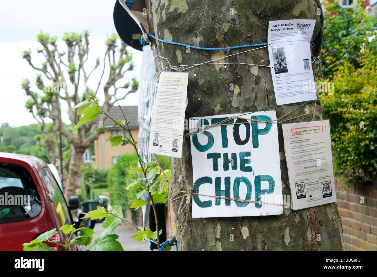 Oakfield Road, London, UK. 4th Jun 2025. Stop the Chop, Oakfield Road ...