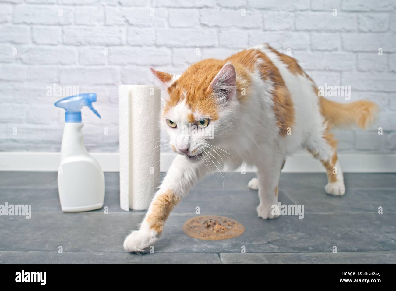 Vomit emotion hi-res stock photography and images - Alamy