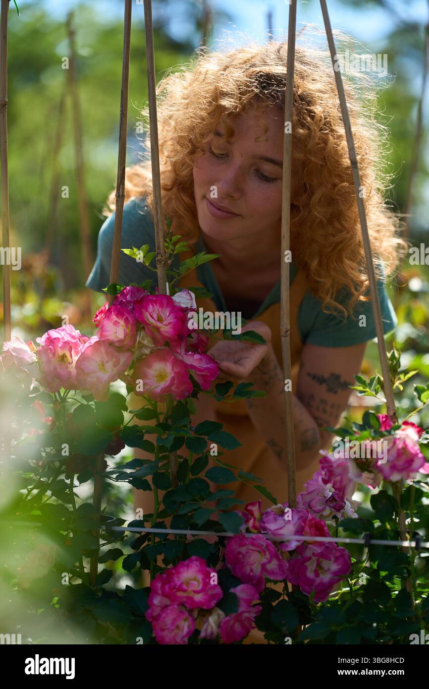 Female entrepreneur smelling leaves hi-res stock photography and images ...