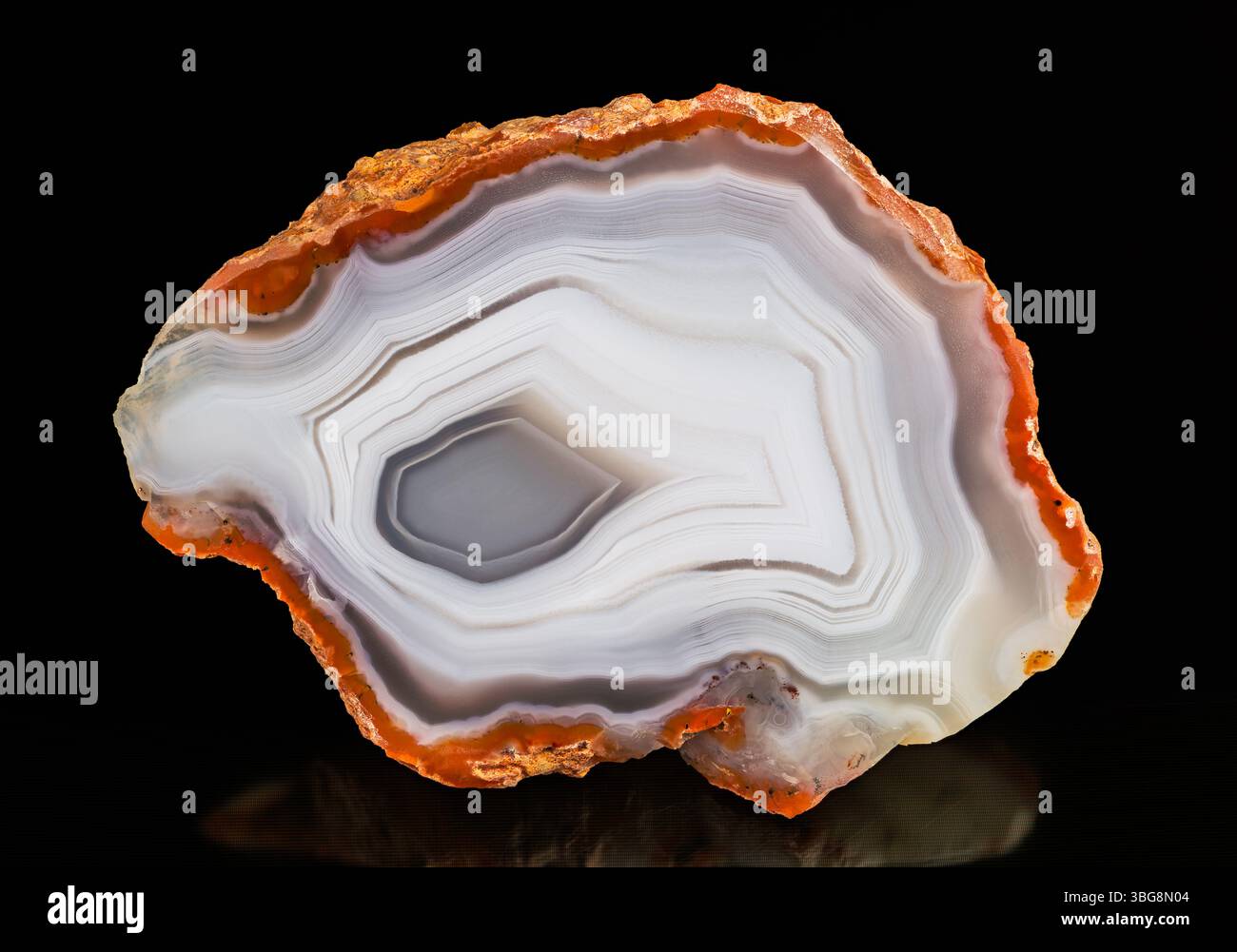 Closeup cut polished agate precious stone on black background. Gem ...