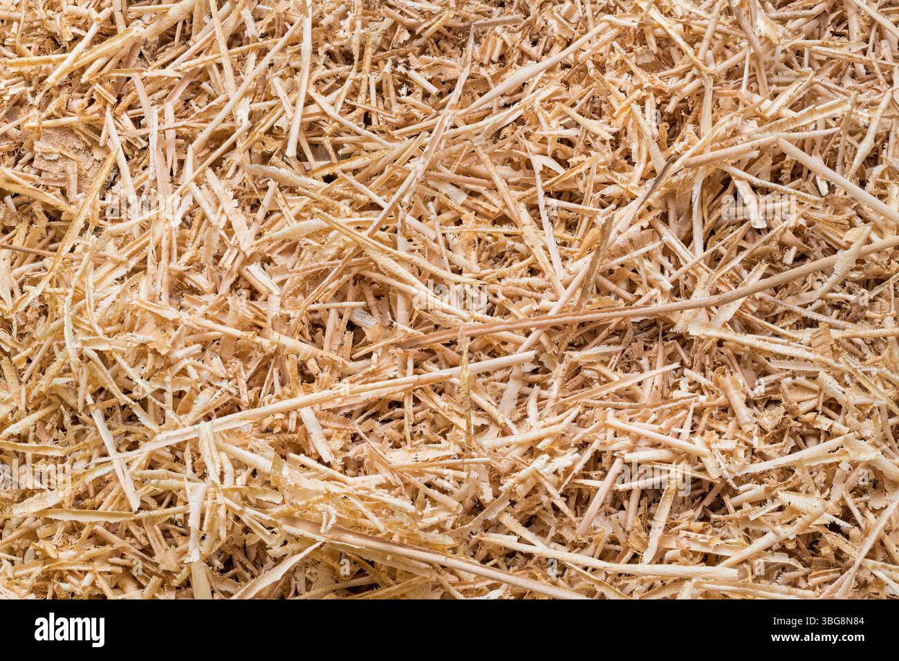 Long thin wood shavings of woodworking waste in light brown abstract ...