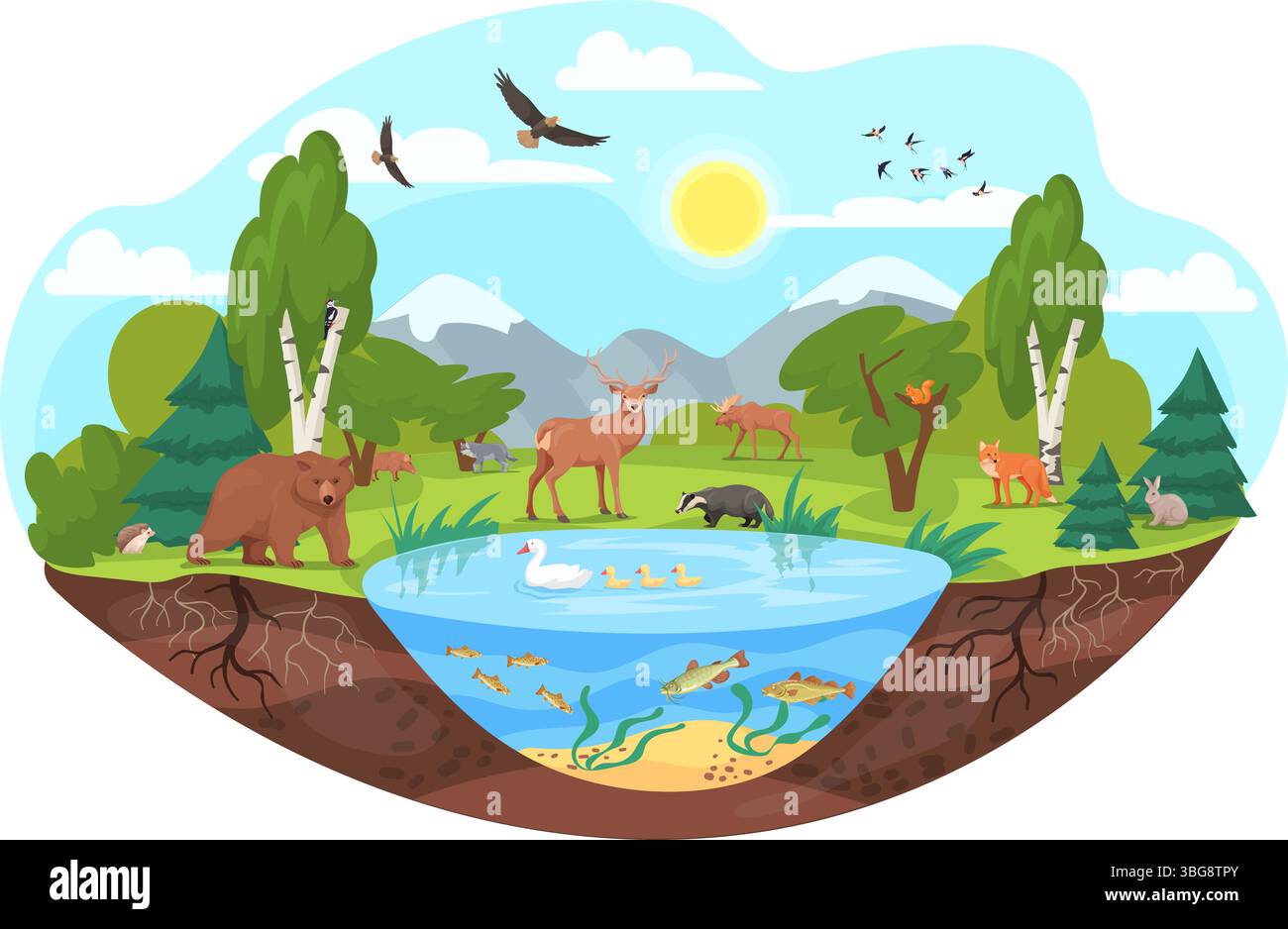 Forest animal ecosystem. Biodiversity different earth nature habitats ...