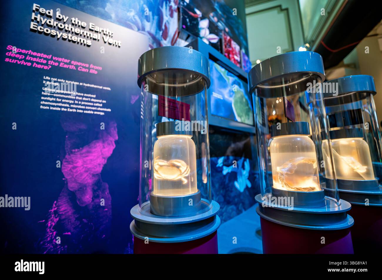 WASHINGTON, DC — A display at the Smithsonian National Museum of ...