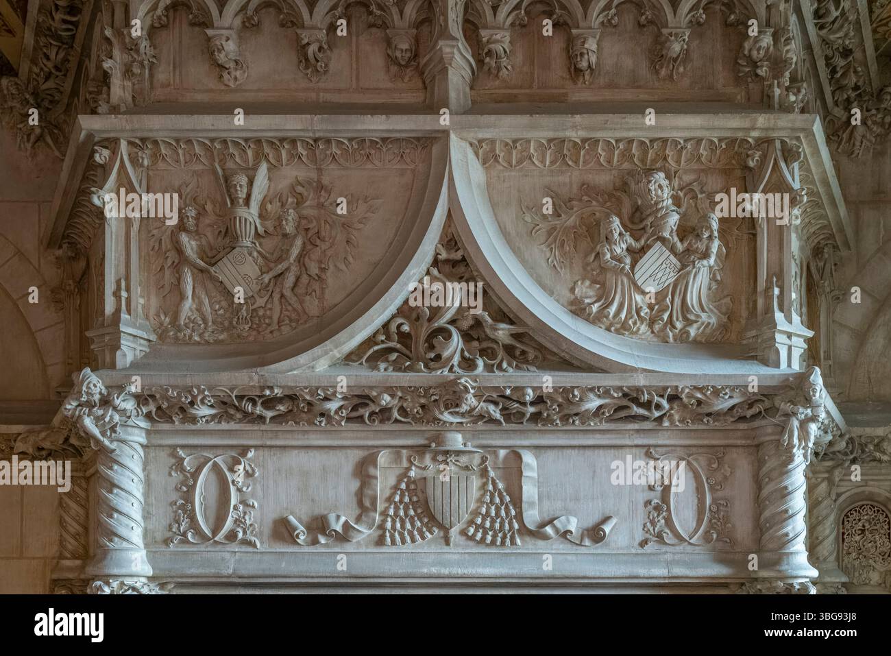 Elaborate stone fireplace displays intricate carved heraldic emblems ...